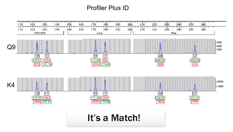 Archived | DNA - A Prosecutor’s Practice Notebook Inventory | DNA ...