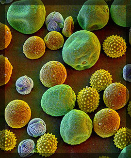 Archived | DNA - A Prosecutor’s Practice Notebook Inventory | Forensic ...