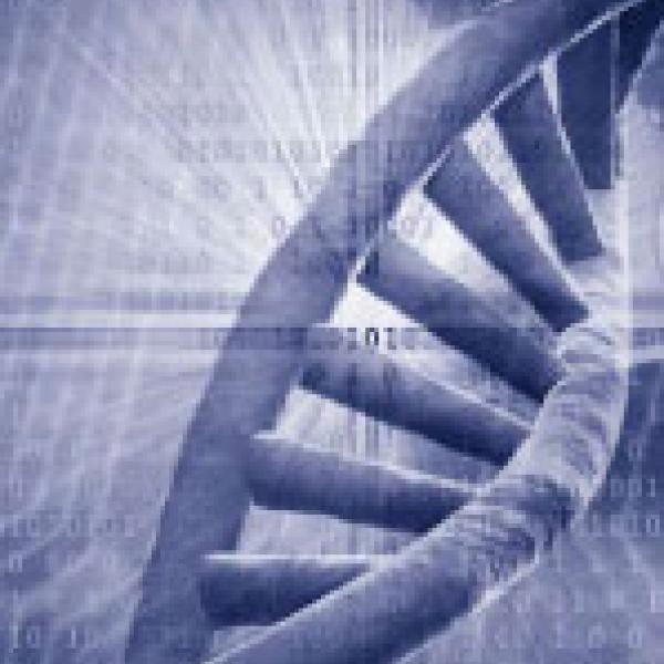 DNA Solves Property Crimes (But Are We Ready for That?) | National ...