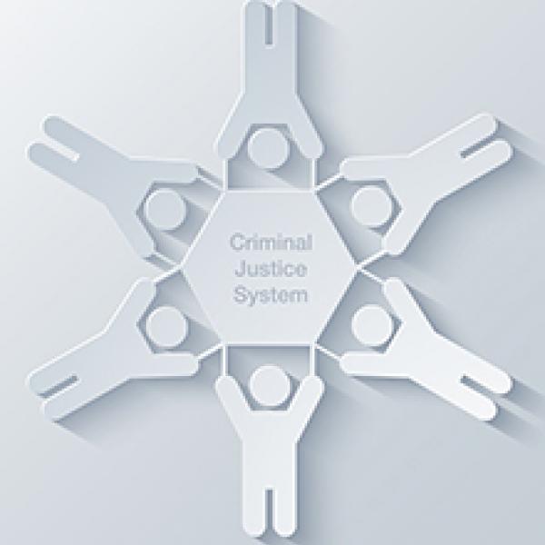 Sentinel Events Initiative: Looking Back to Look Forward | National ...